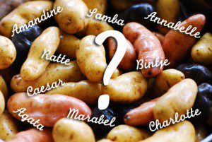 Quelle pomme de terre pour la purée, les frites ou la soupe ? - Cookismo