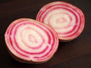 Chips de betterave chioggia
