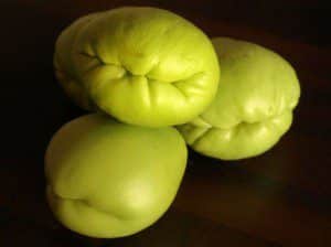 Comment cuire les chouchous