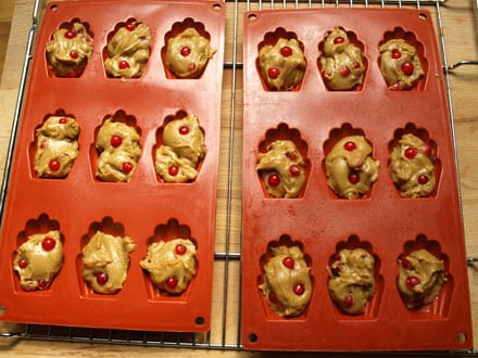 Madeleines aux groseilles, coque de chocolat blanc