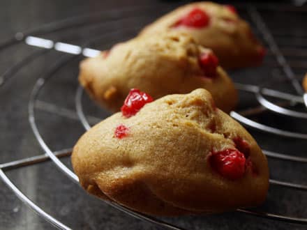Madeleines aux groseilles, coque de chocolat blanc