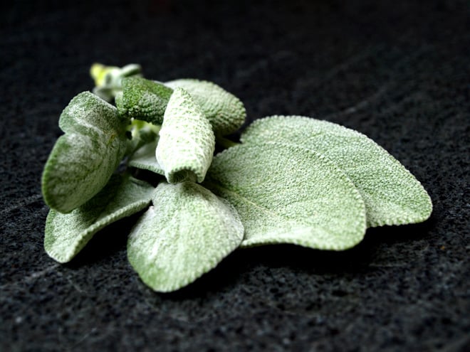 Une infusion de sauge... et ça repart