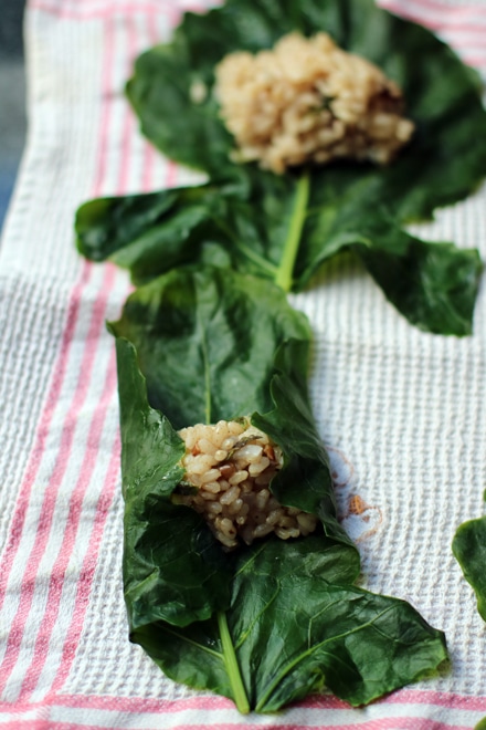 Dolmades et les feuilles de chou-rave